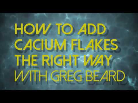 Calcium Flakes added to Swimming Pool – Pool Chronicles